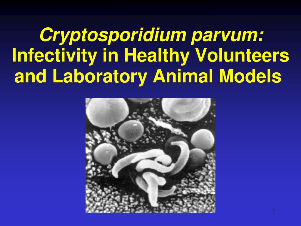 PPT - Cryptosporidium Volunteer Study PowerPoint Presentation, free ...