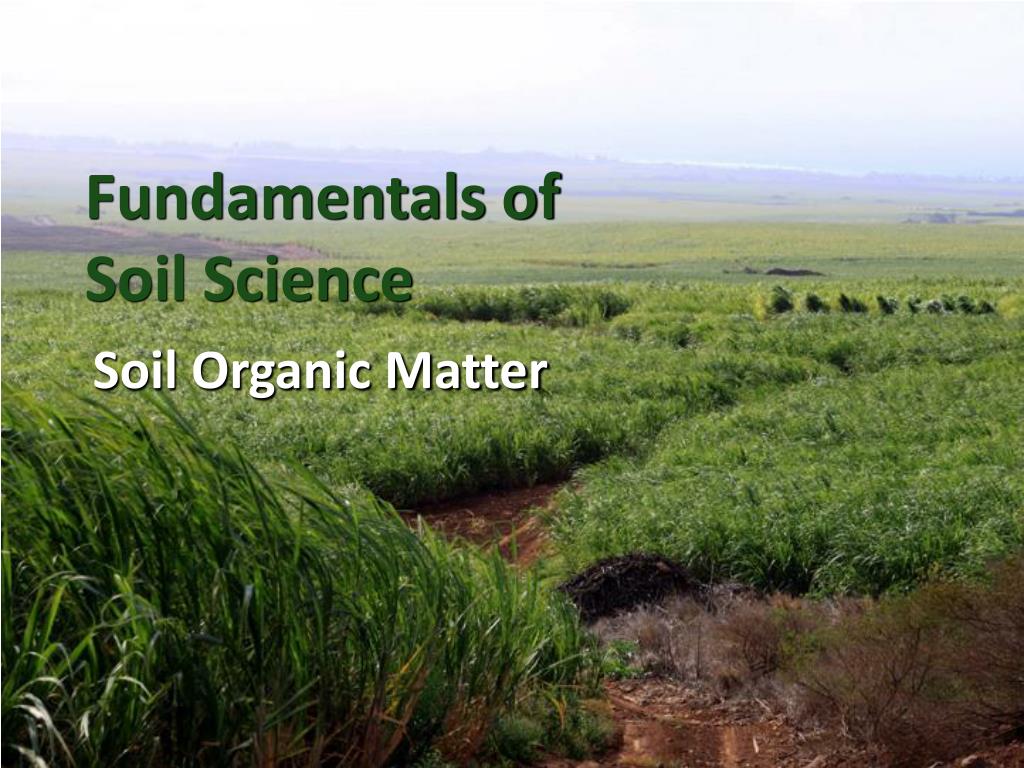 PPT - Fundamentals of Soil Science PowerPoint Presentation, free download - ID:4998383