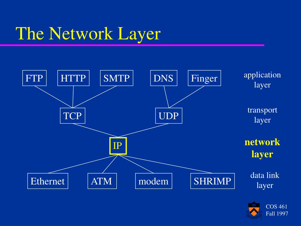 PPT - The Network Layer PowerPoint Presentation, free download - ID:4998405
