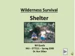 PPT - 10 Wilderness Survival Lessons From Hatchet PowerPoint ...