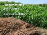 PPT - FUNDAMENTALS OF SOIL SCIENCE PowerPoint Presentation, free download - ID:1978531