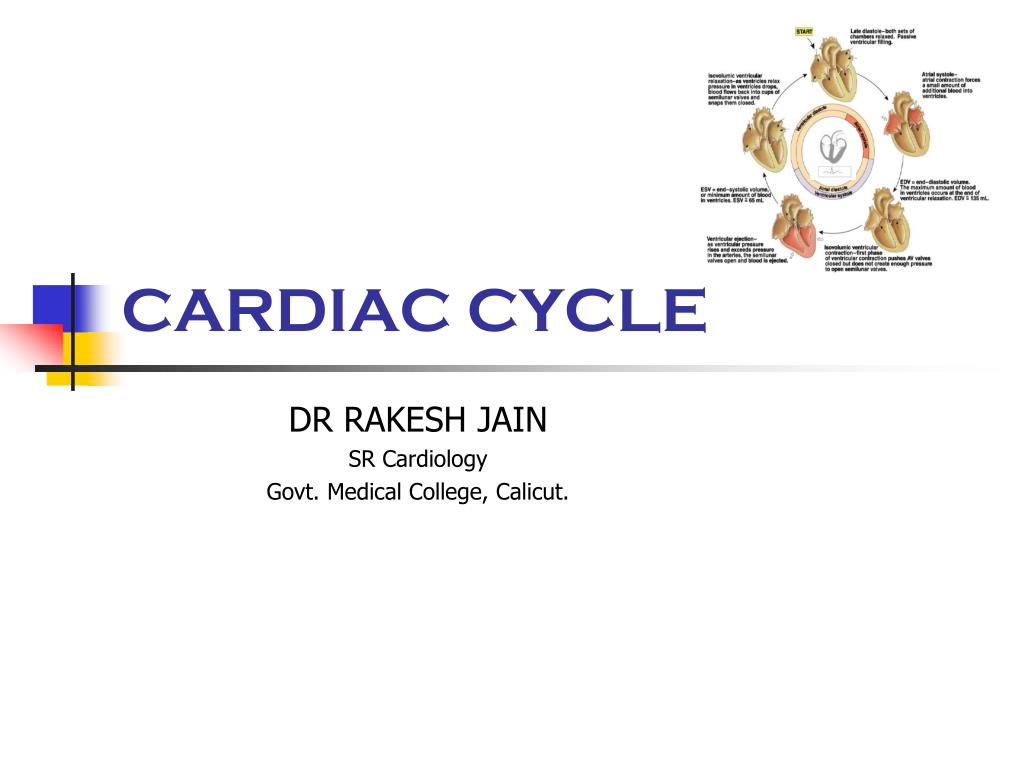 PPT - CARDIAC CYCLE PowerPoint Presentation, free download - ID:5014477