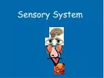 PPT - Insect Sensory System PowerPoint Presentation, free download - ID ...
