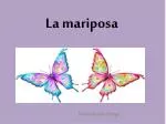 PPT - MARIPOSA MONARCA PowerPoint Presentation, free download - ID:3087264