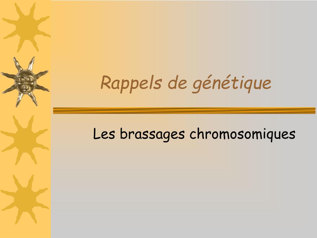 PPT - Rappels de génétique PowerPoint Presentation, free download - ID ...