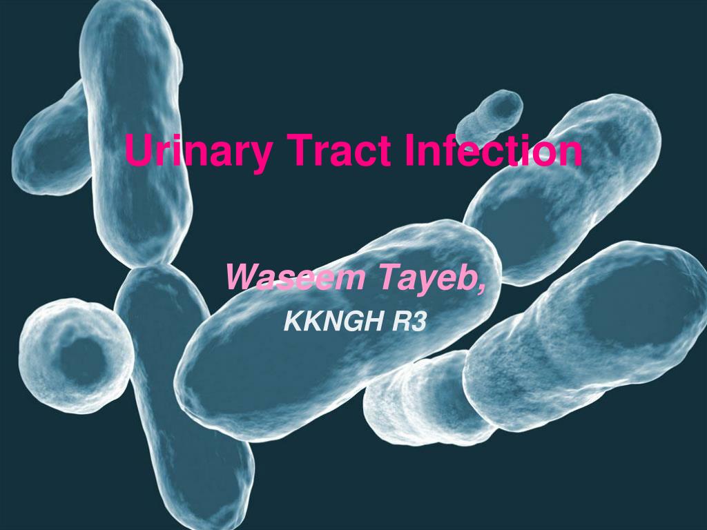 PPT - Urinary Tract Infection PowerPoint Presentation, free download ...