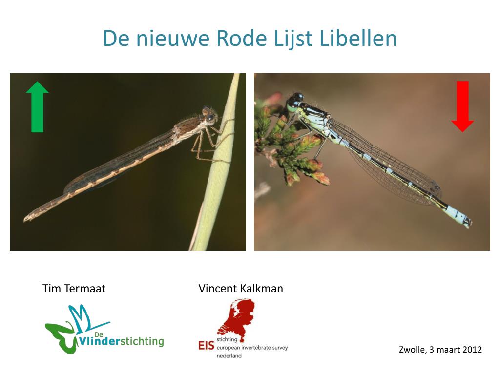 PPT - De nieuwe Rode Lijst Libellen PowerPoint Presentation, free ...