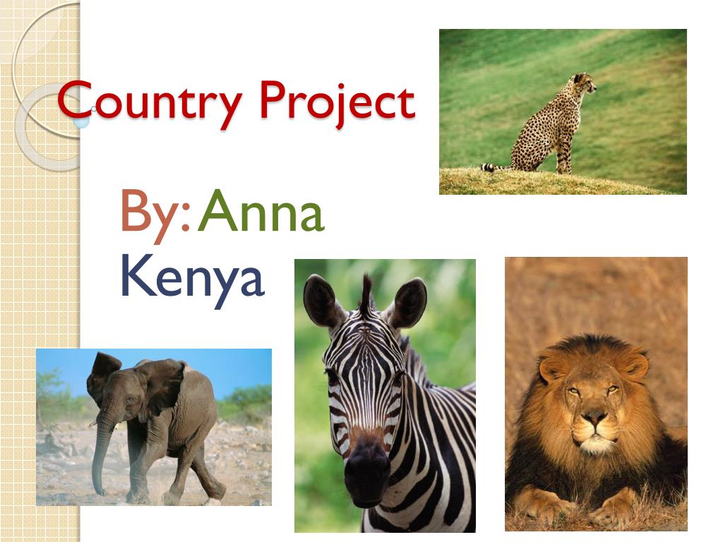 PPT - Country Project PowerPoint Presentation, free download - ID:5038641