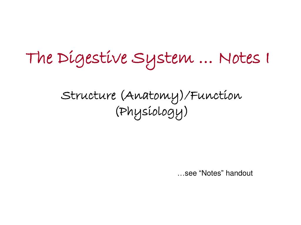 PPT - The Digestive System … Notes I PowerPoint Presentation, free ...