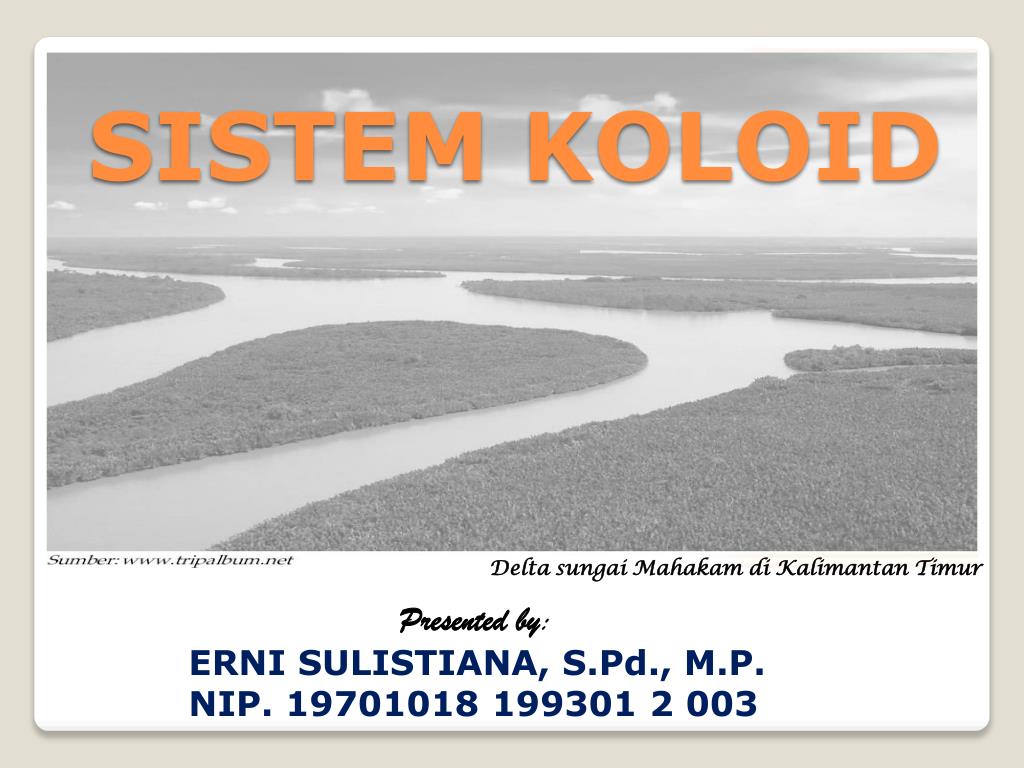 PPT - SISTEM KOLOID PowerPoint Presentation, free download - ID:5057020