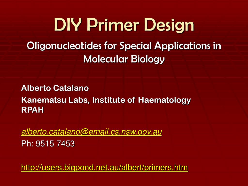 PPT - DIY Primer Design PowerPoint Presentation, free download - ID:5057474