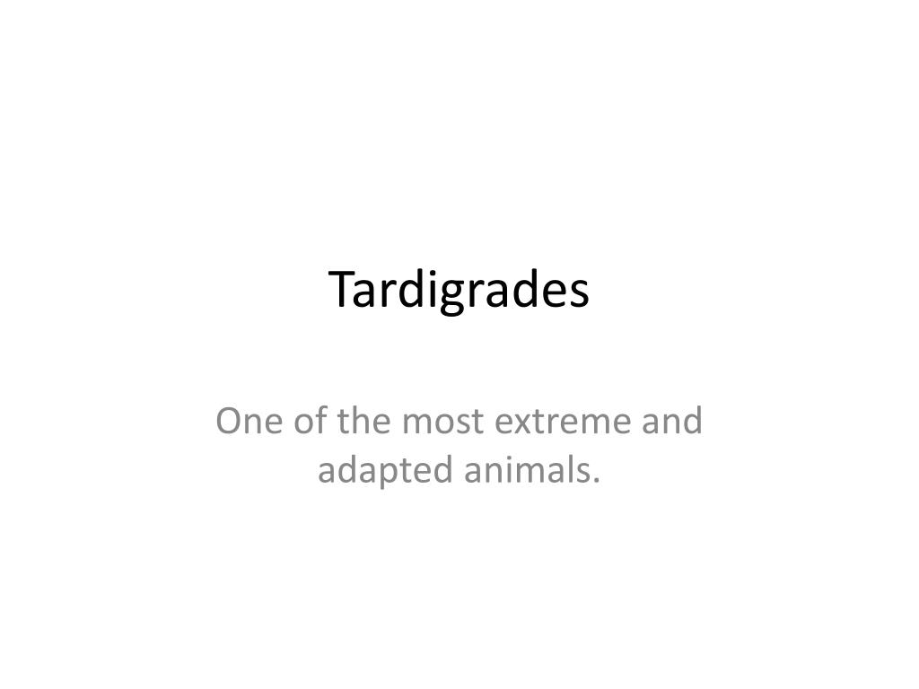 PPT - Tardigrades PowerPoint Presentation, free download - ID:5061736
