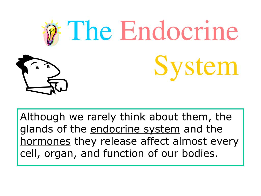 PPT - The Endocrine System PowerPoint Presentation, free download - ID ...