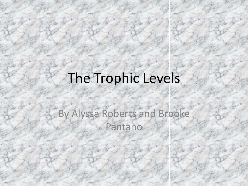 PPT - The Trophic Levels PowerPoint Presentation, free download - ID ...
