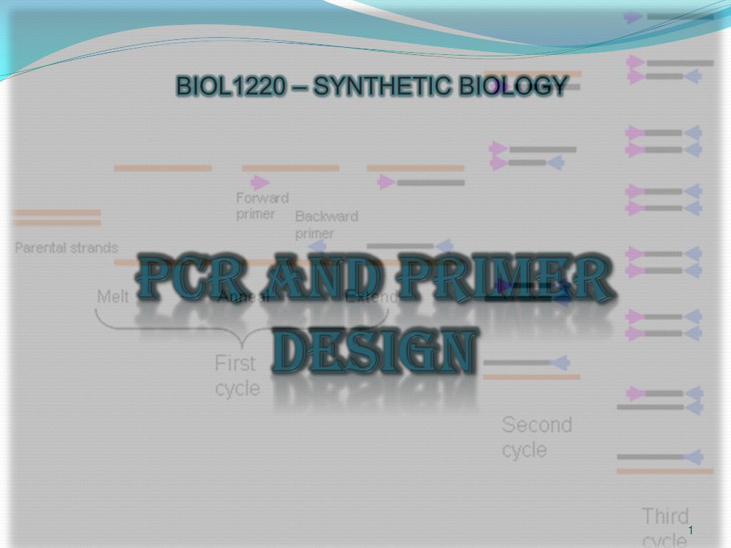 PPT - PCR AND PRIMER DESIGN PowerPoint Presentation, free download - ID ...