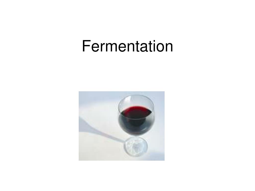 PPT - Fermentation PowerPoint Presentation, free download - ID:5084840