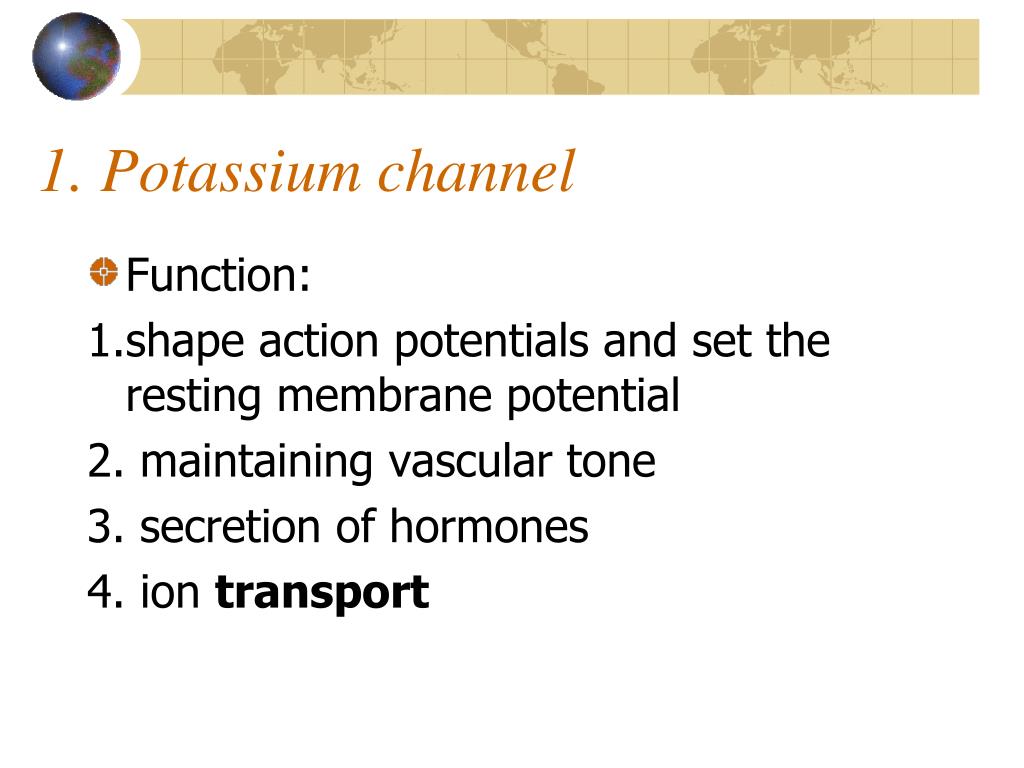 PPT - 1. Potassium channel PowerPoint Presentation, free download - ID ...