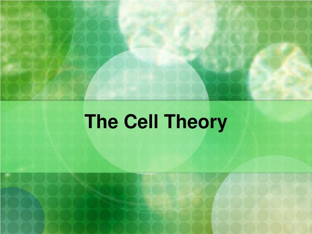 PPT - The Cell Theory PowerPoint Presentation, free download - ID:5088377