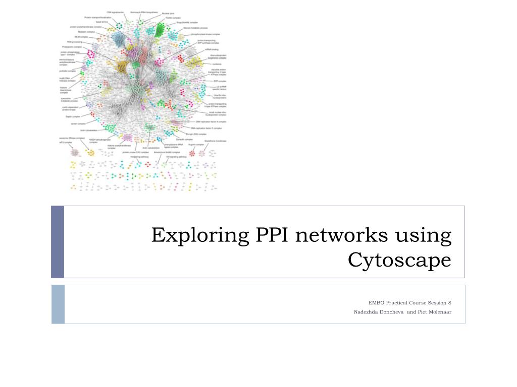 PPT - Exploring PPI networks using Cytoscape PowerPoint Presentation, free download - ID:5094497