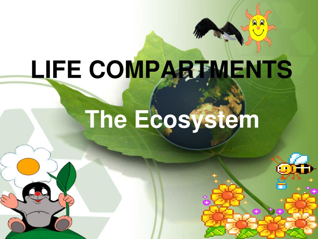 PPT - Life Compartments PowerPoint Presentation, free download - ID:5095050