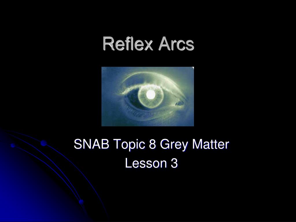 PPT - Reflex Arcs PowerPoint Presentation, free download - ID:5095670