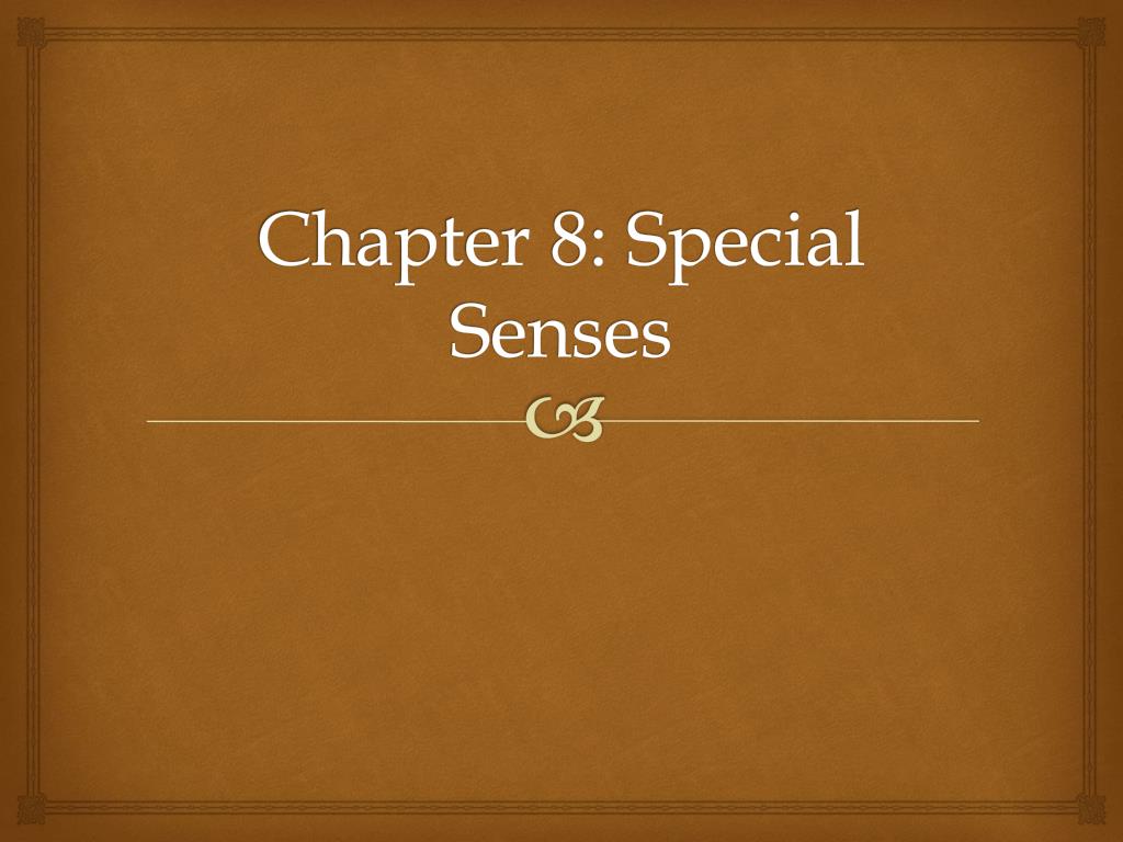 PPT - Chapter 8: Special Senses PowerPoint Presentation, free download - ID:5098236