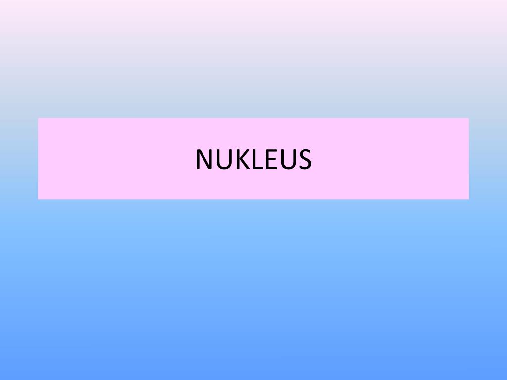 PPT - NUKLEUS PowerPoint Presentation, free download - ID:5103090
