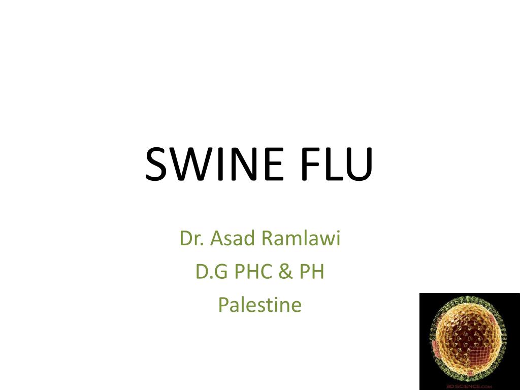 PPT - SWINE FLU PowerPoint Presentation, free download - ID:5108748