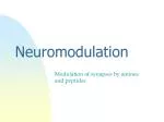 PPT - Sacral Neuromodulation PowerPoint Presentation, free download ...