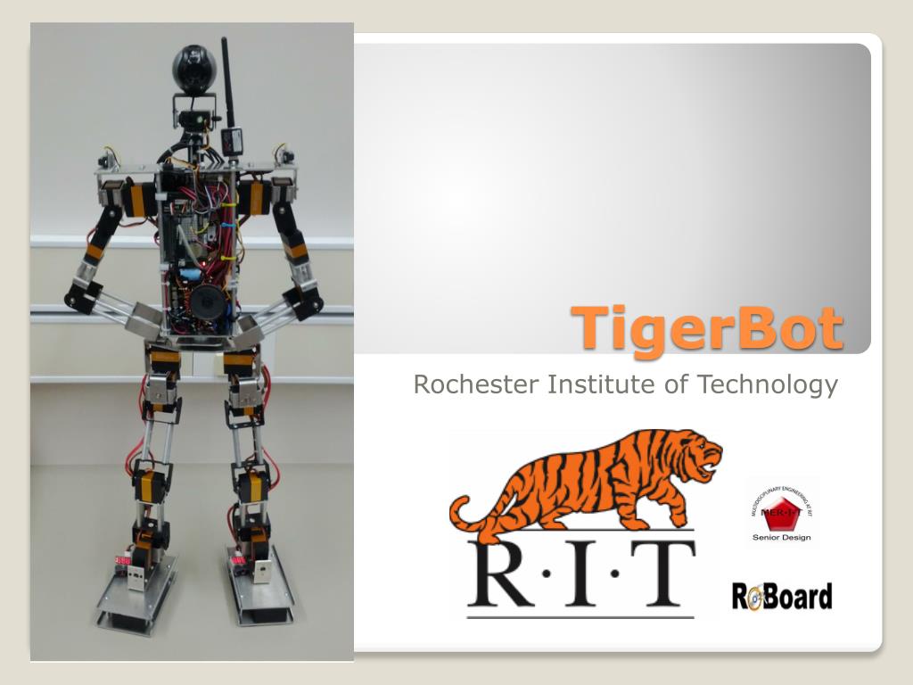 PPT - TigerBot PowerPoint Presentation, free download - ID:5120037