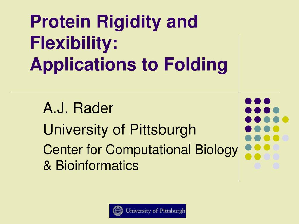 PPT - Protein Rigidity and Flexibility: Applications to Folding ...