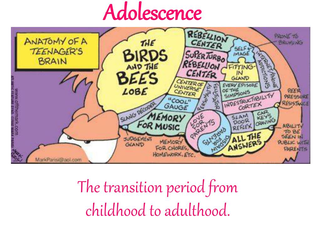 PPT - Adolescence PowerPoint Presentation, free download - ID:5121834