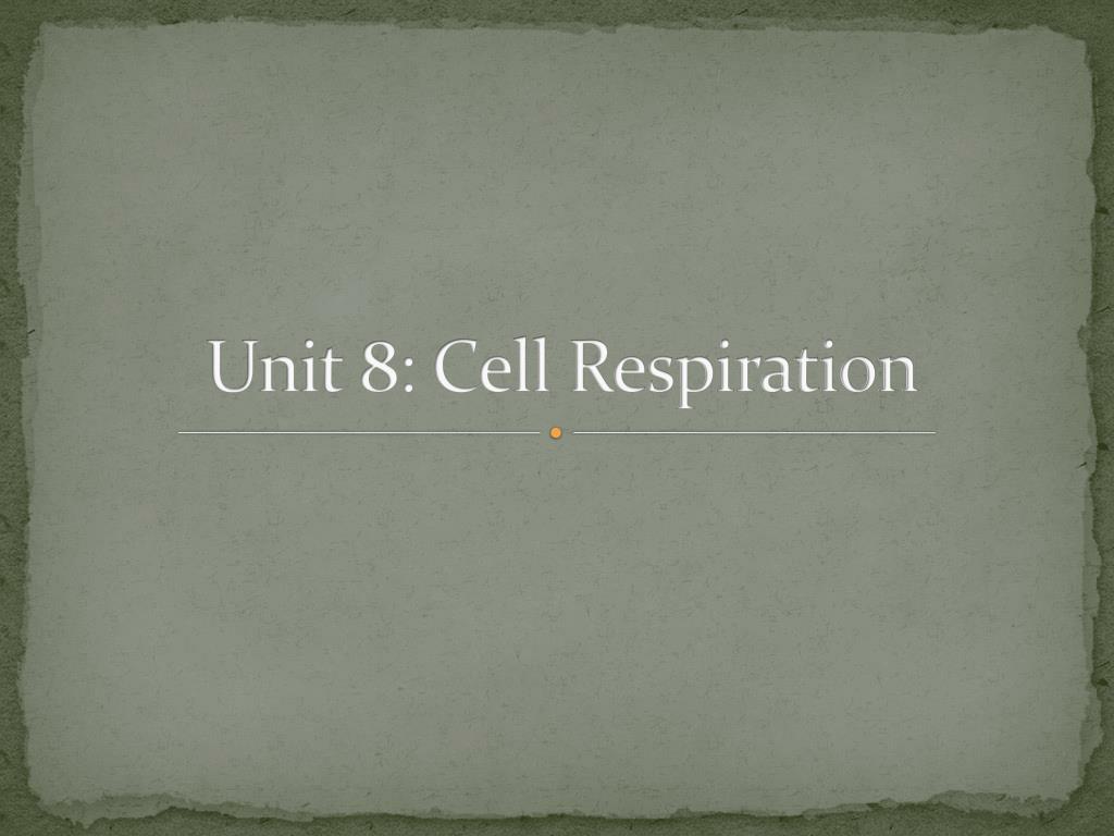 PPT - Unit 8: Cell Respiration PowerPoint Presentation, free download ...