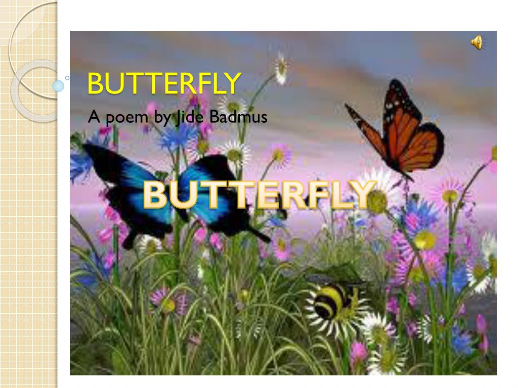 PPT - BUTTERFLY PowerPoint Presentation, free download - ID:5130046