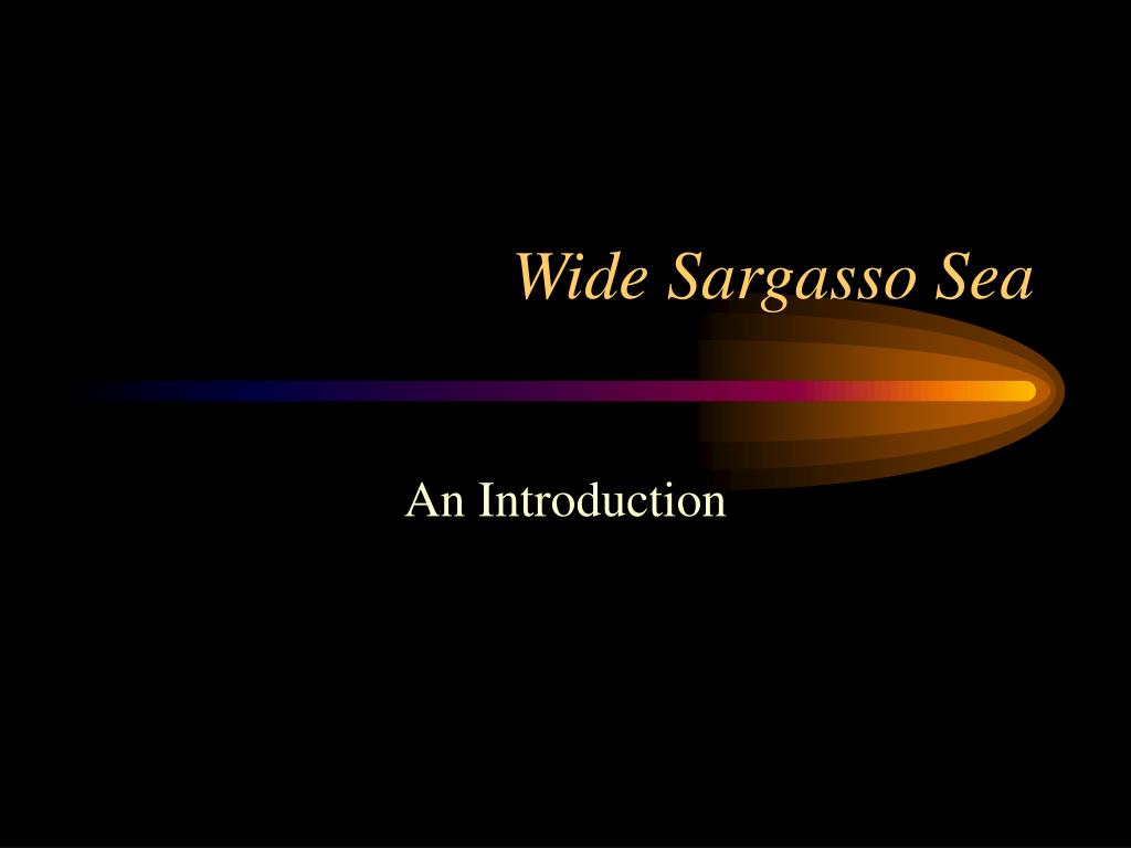 PPT - Wide Sargasso Sea PowerPoint Presentation, free download - ID:5134209