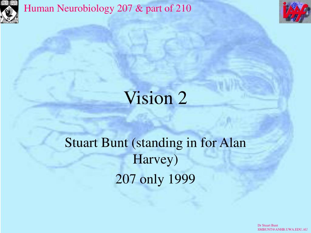 PPT - Vision 2 PowerPoint Presentation, free download - ID:5136562