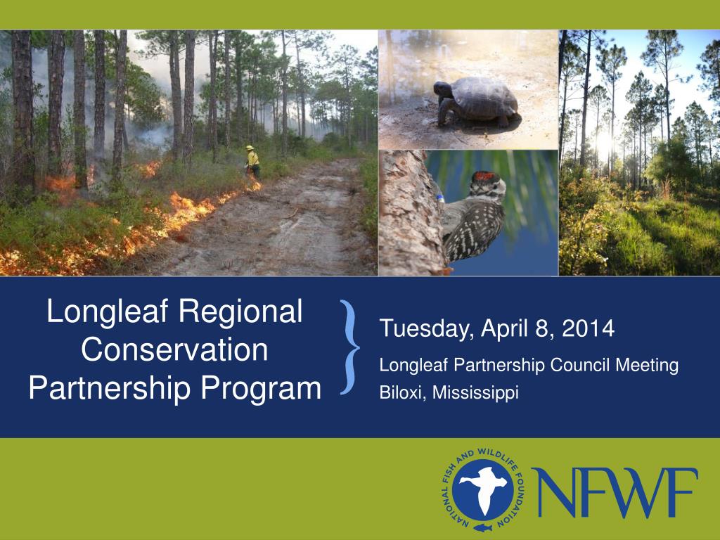 PPT - Longleaf Regional Conservation Partnership Program PowerPoint ...