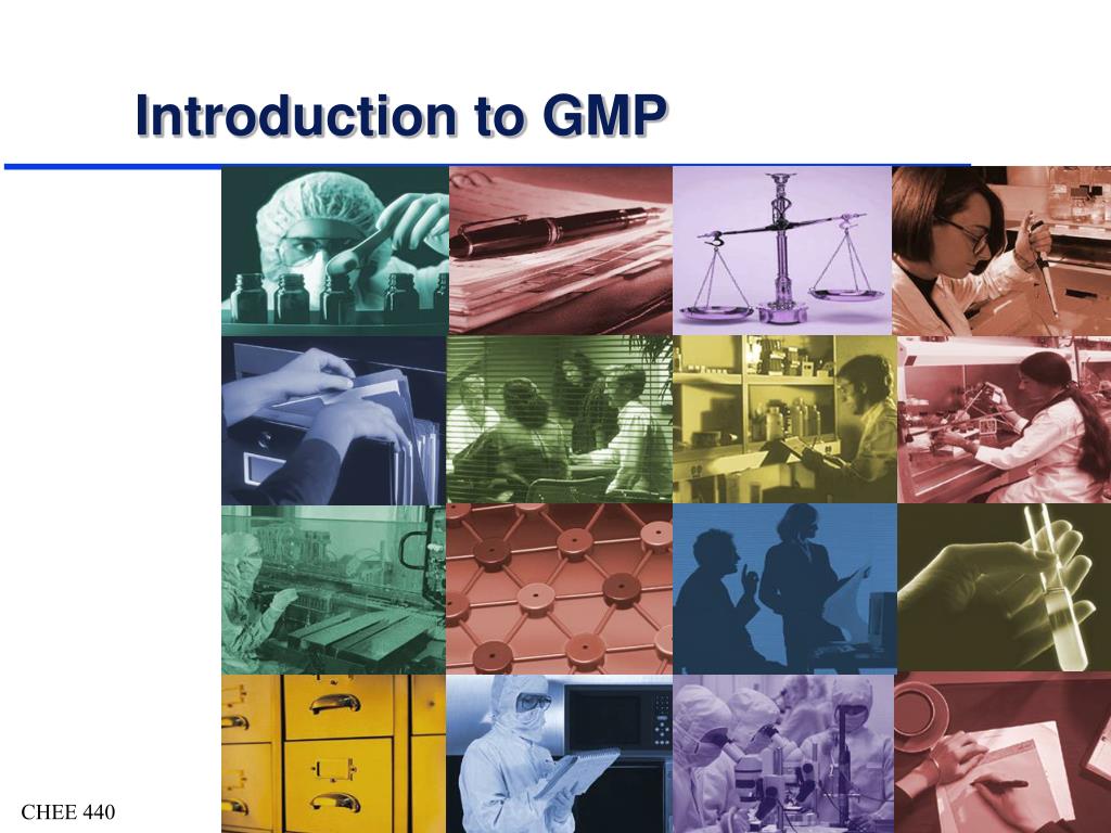 PPT - Introduction to GMP PowerPoint Presentation, free download - ID ...
