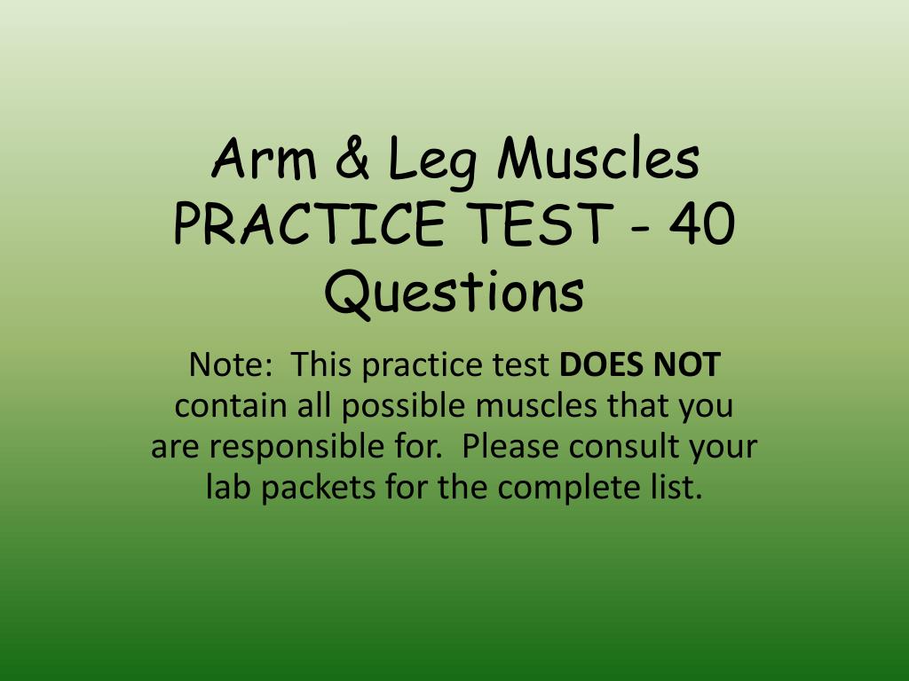 PPT - Arm & Leg Muscles PRACTICE TEST - 40 Questions PowerPoint ...