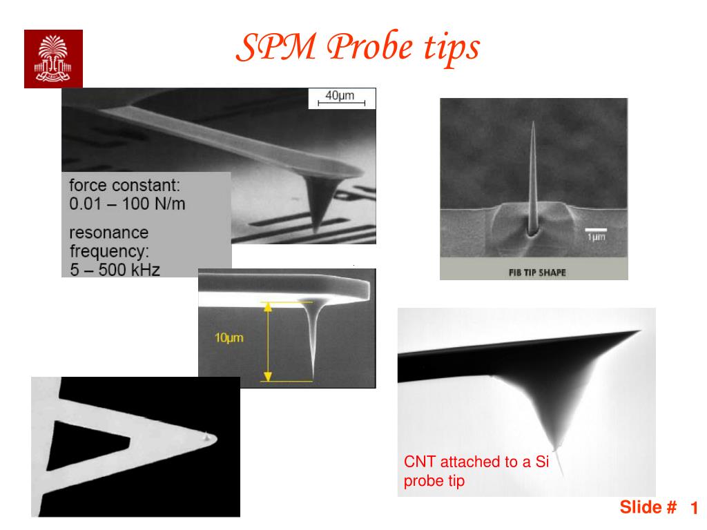 PPT - SPM Probe tips PowerPoint Presentation, free download - ID:5144792