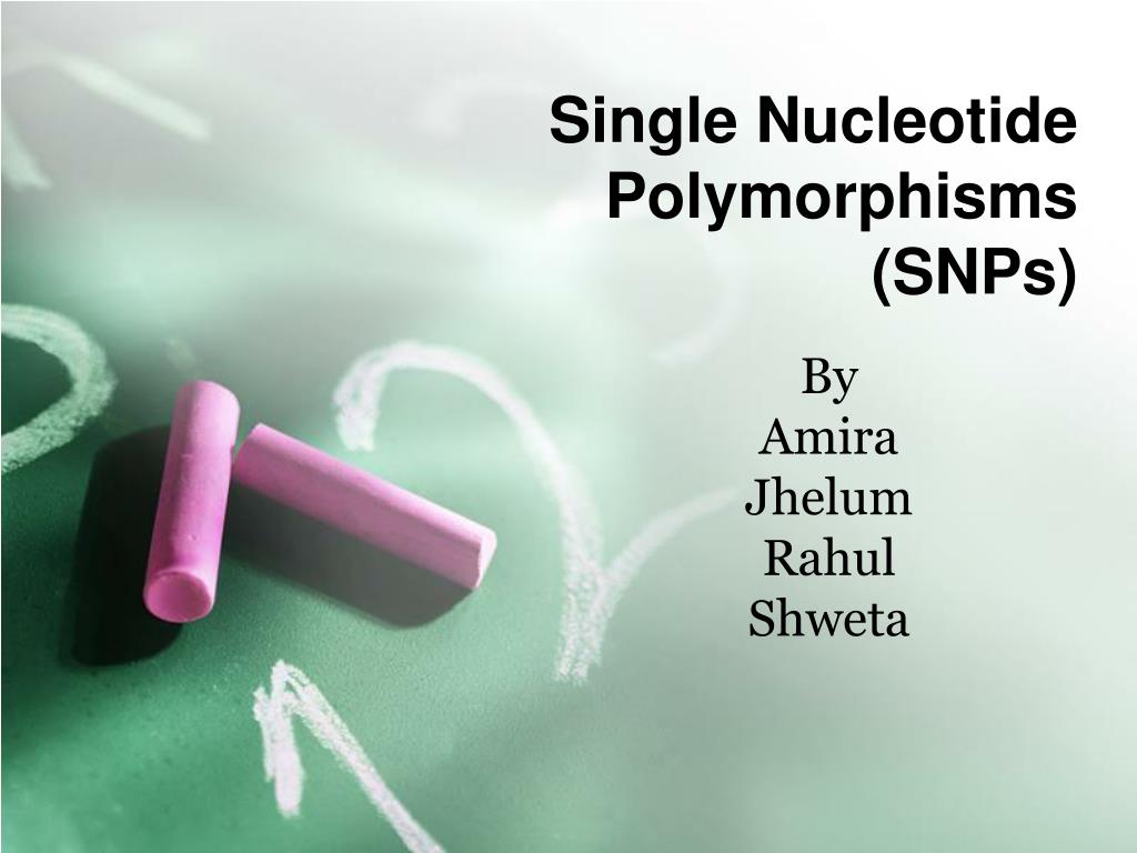PPT - Single Nucleotide Polymorphisms (SNPs) PowerPoint Presentation ...