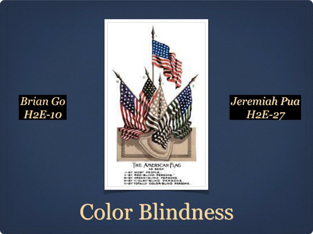 PPT - Color Blindness PowerPoint Presentation, free download - ID:5147728