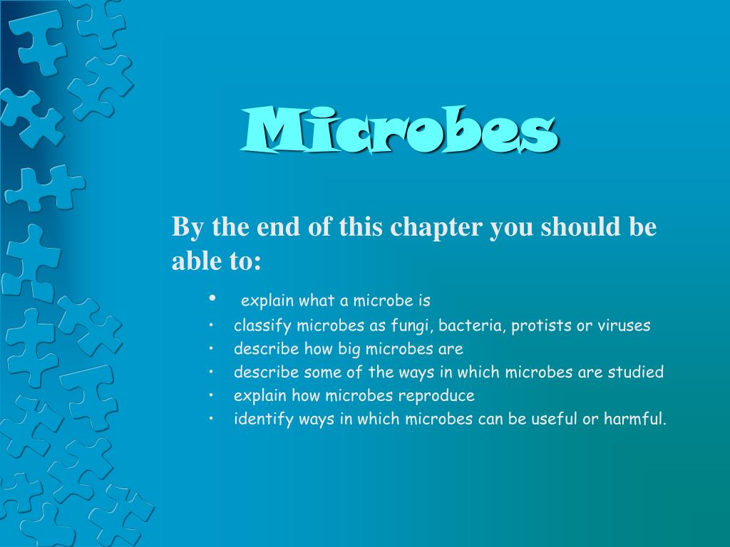 PPT - Microbes PowerPoint Presentation, free download - ID:5151638