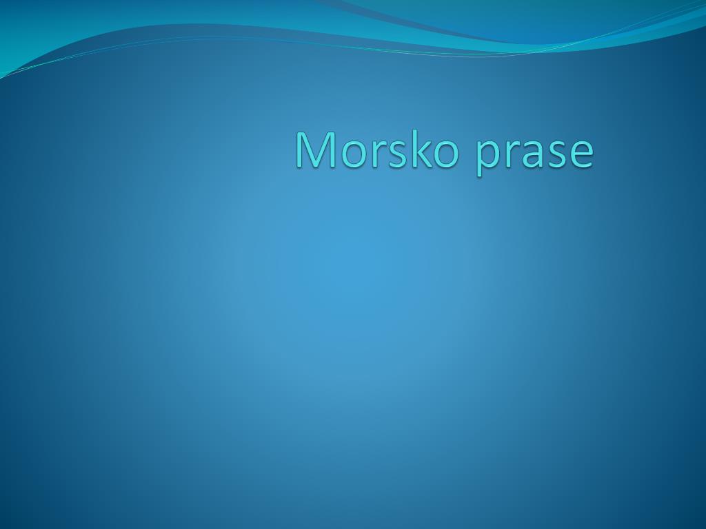 PPT - Morsko prase PowerPoint Presentation, free download - ID:5153483