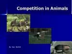 PPT - Competition in Animals PowerPoint Presentation, free download ...