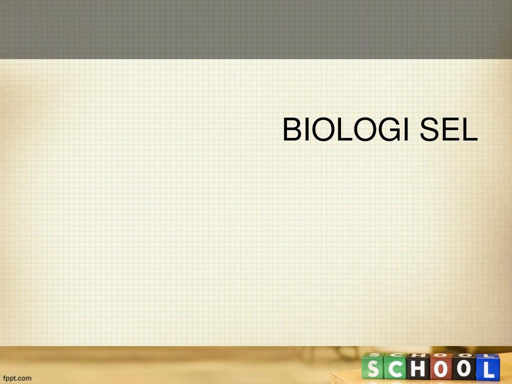 PPT - BIOLOGI SEL PowerPoint Presentation, free download - ID:5163205