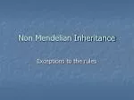 PPT - Non Mendelian Inheritance Patterns PowerPoint Presentation, free ...