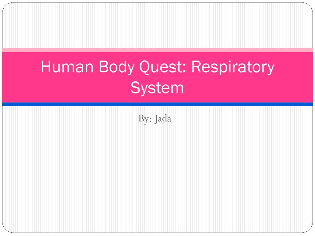 PPT - Human Body Quest: Respiratory System PowerPoint Presentation ...