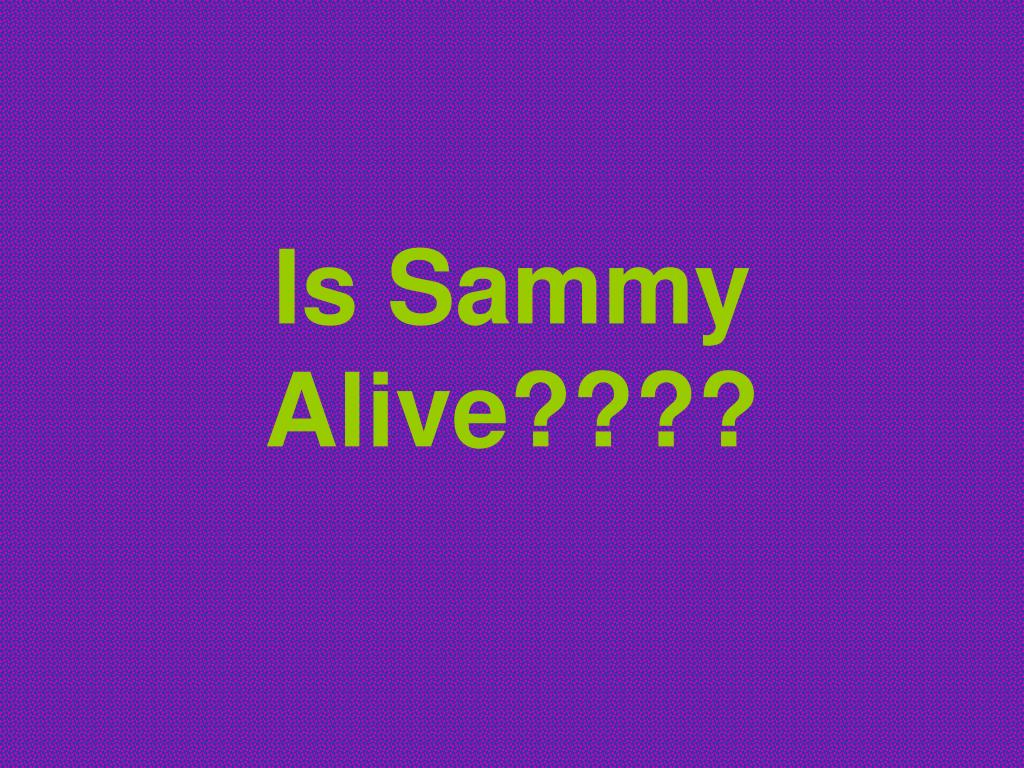 PPT - Is Sammy Alive???? PowerPoint Presentation, free download - ID ...