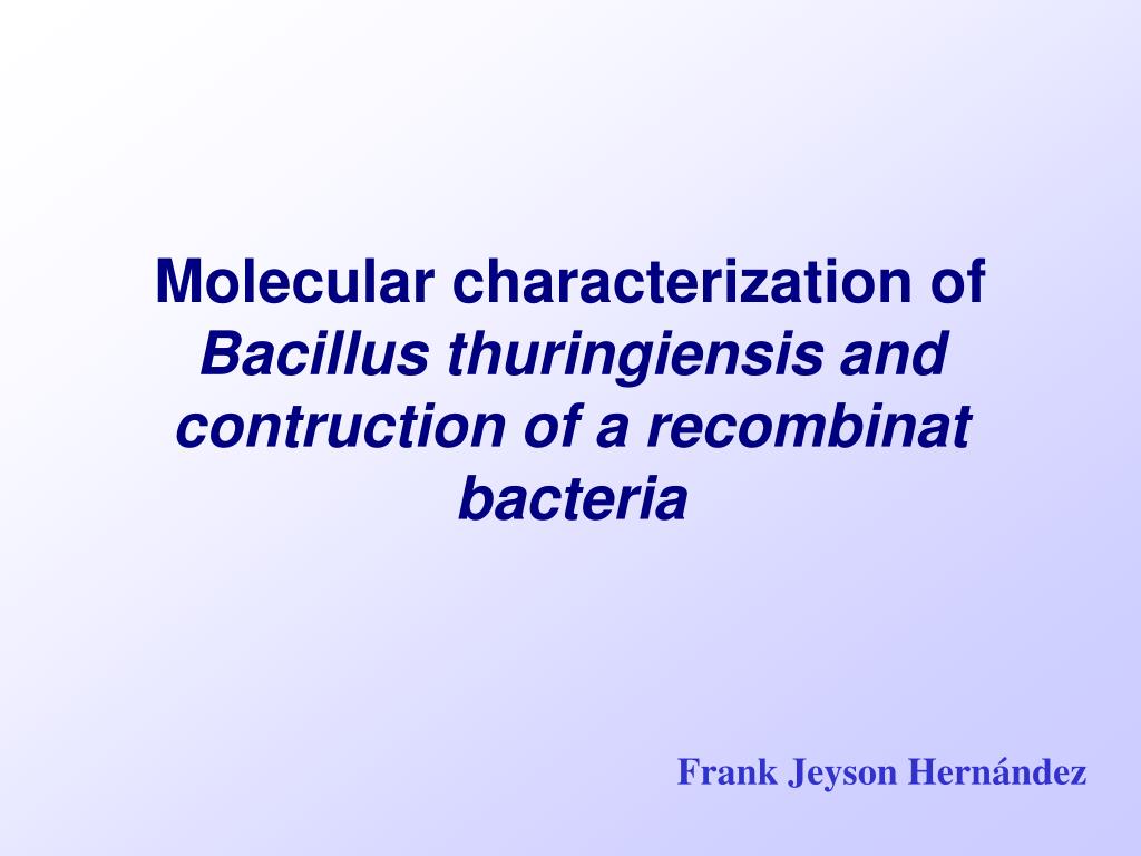 PPT - Molecular characterization of Bacillus thuringiensis and ...